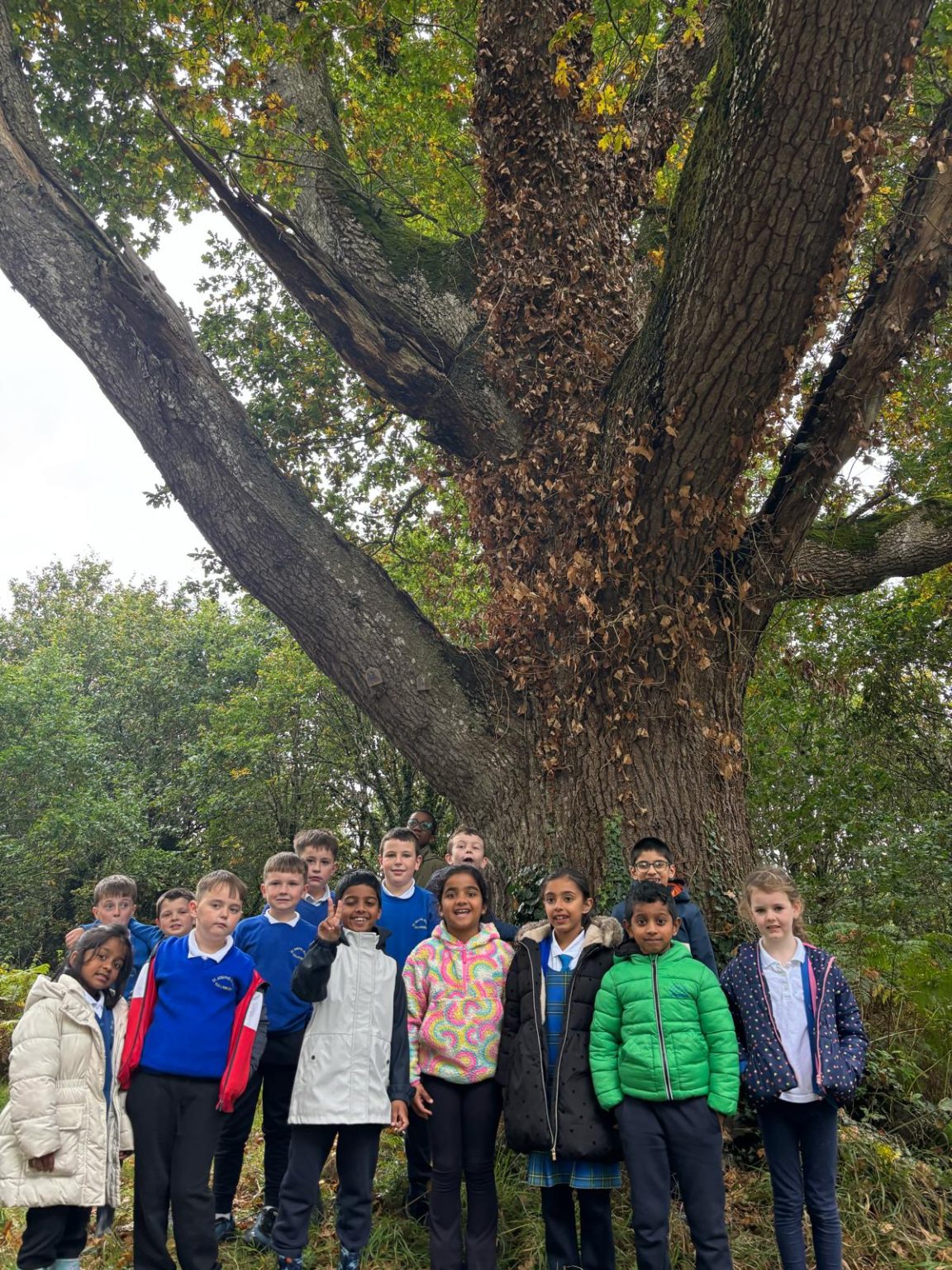 Nature Treasure Hunt - St. Joseph's N.S. Tullamore